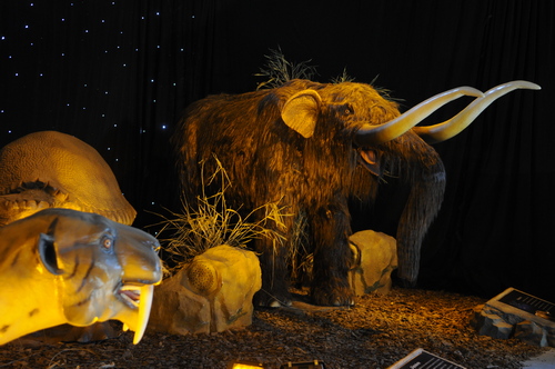ICE AGE - ΣΤΗΝ ΕΠΟΧΗ ΤΩΝ ΠΑΓΕΤΩΝΩΝ… - Προηγούμενες Εκθέσεις